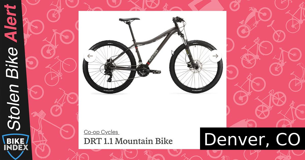 Stolen 2024 REI Co-op DRT 1.1